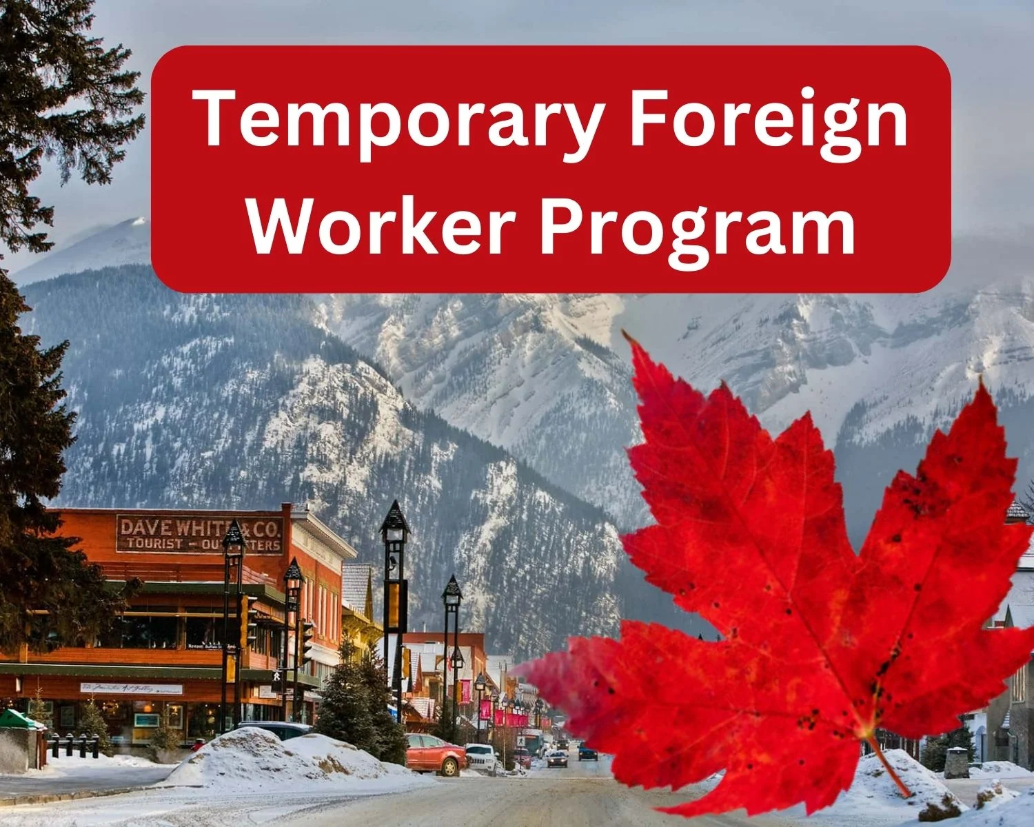 Temporary Foreign Worker Program Changes: How Banff Businesses Face a Crisis - LoudVoice